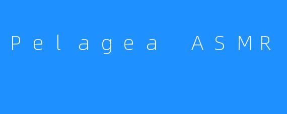 探索“Pelagea ASMR”：宁静与放松的声音艺术